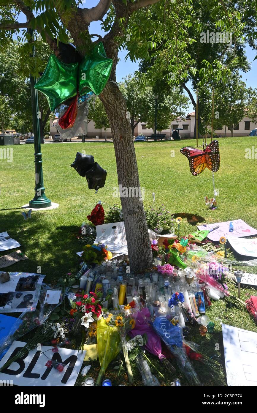 Lynching tree hi-res stock photography and images - Alamy