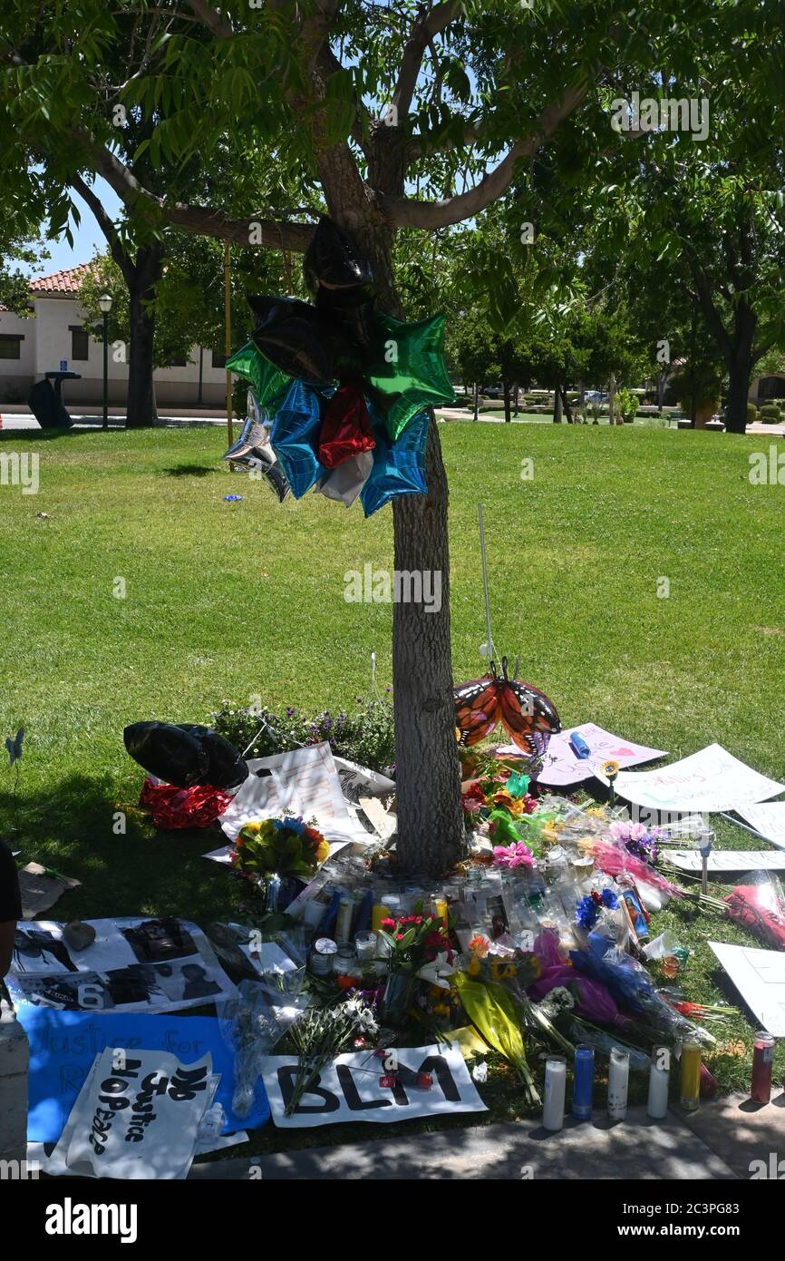 Lynching tree hi-res stock photography and images - Alamy