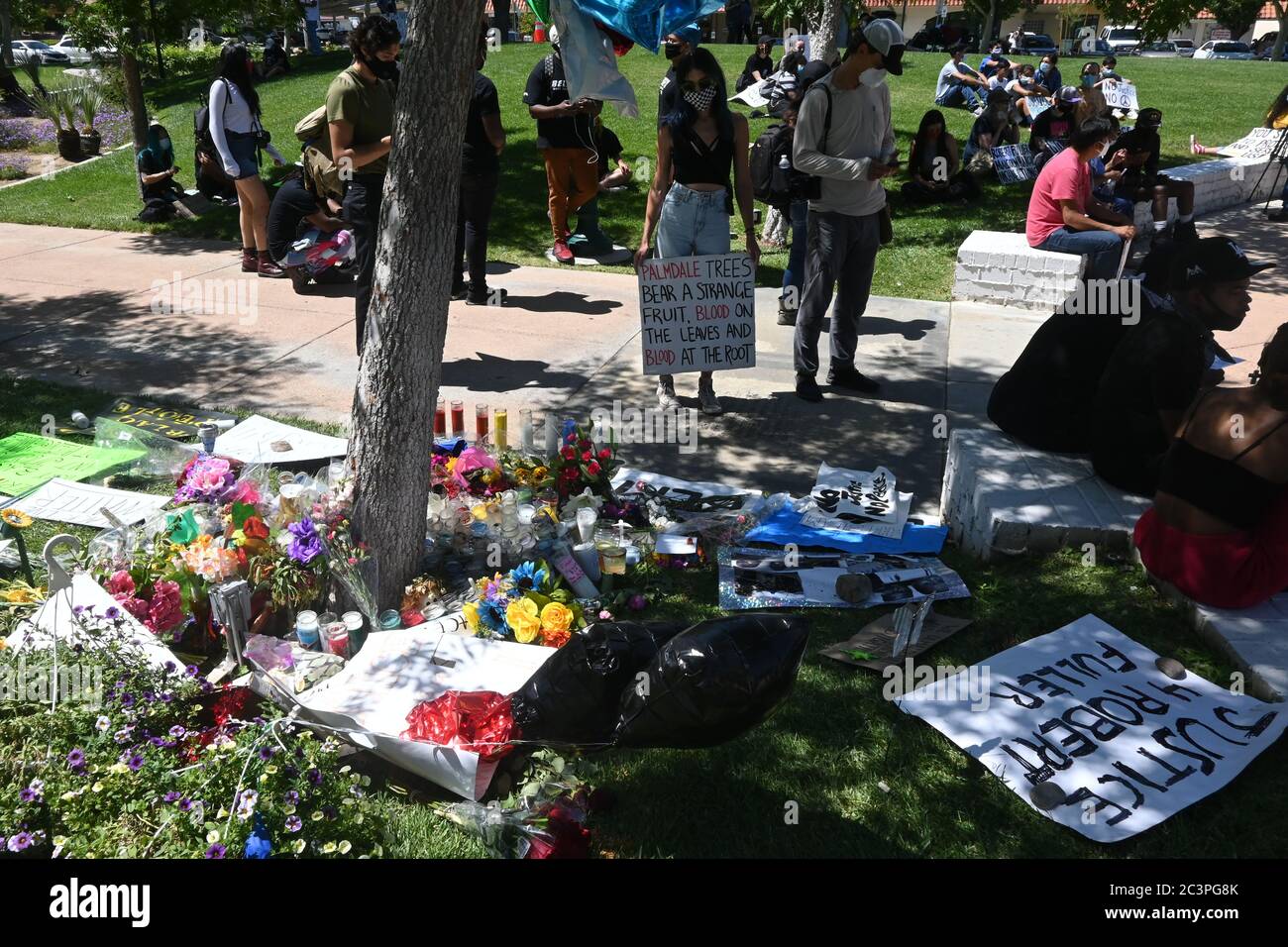 Man hanged on a tree hi-res stock photography and images - Alamy