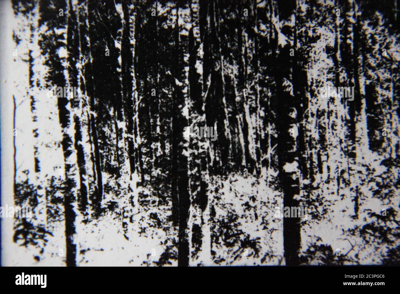 Fine 70s vintage black and white extreme photography of a haunted ...