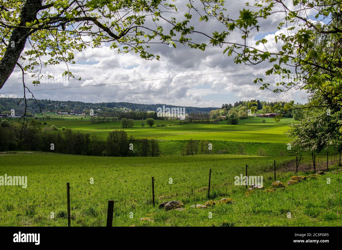 Landscape of a field covered in greenery under a cloudy sky at daytime ...