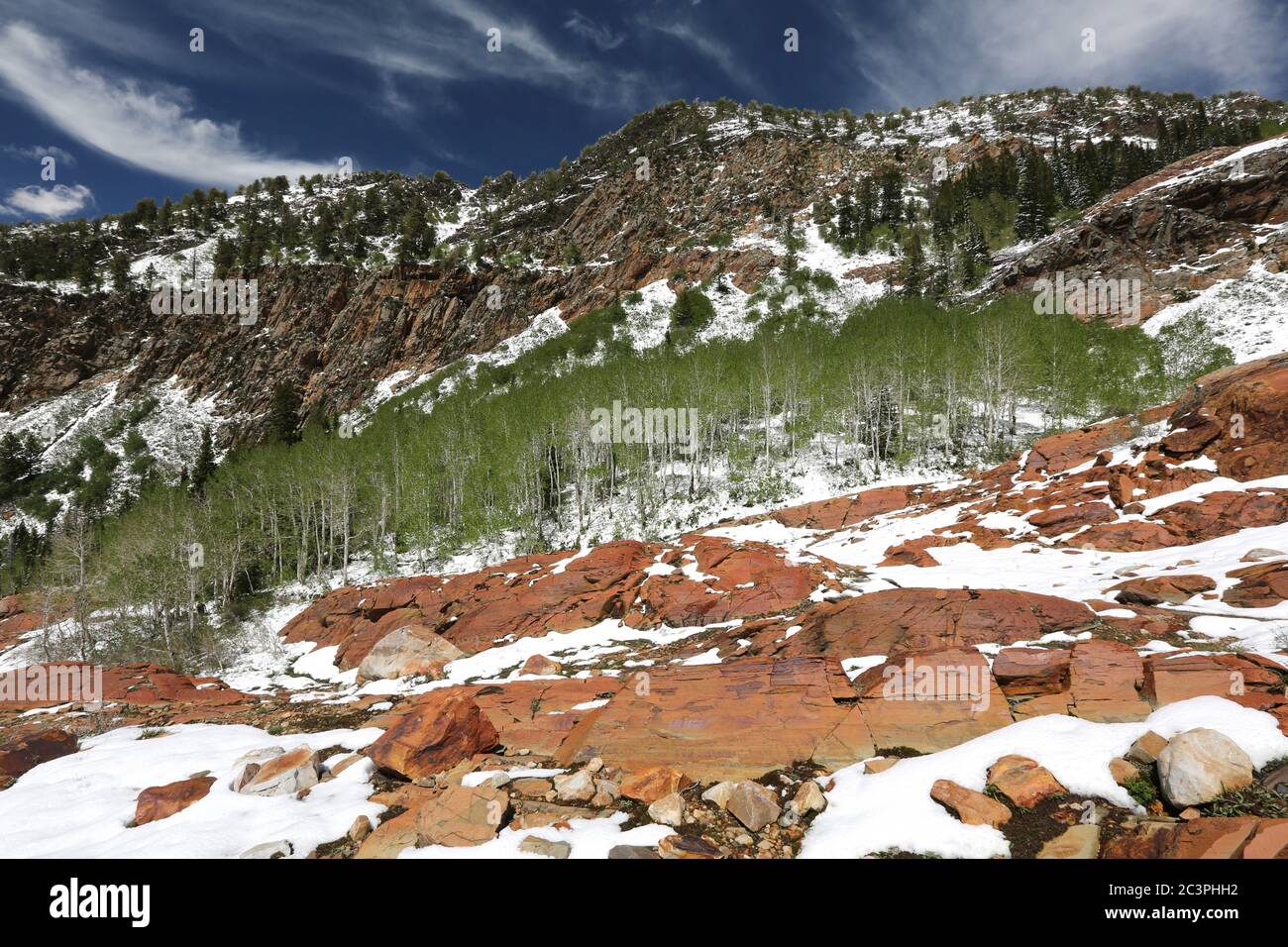 Late snow in June in Big Cottonwood Canyon, Utah Stock Photo - Alamy
