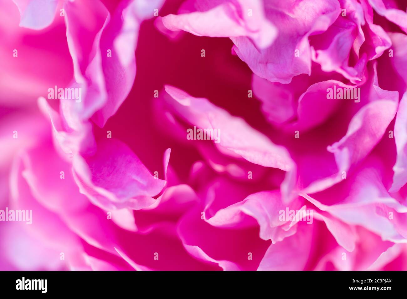 Decorative texture hi-res stock photography and images - Alamy