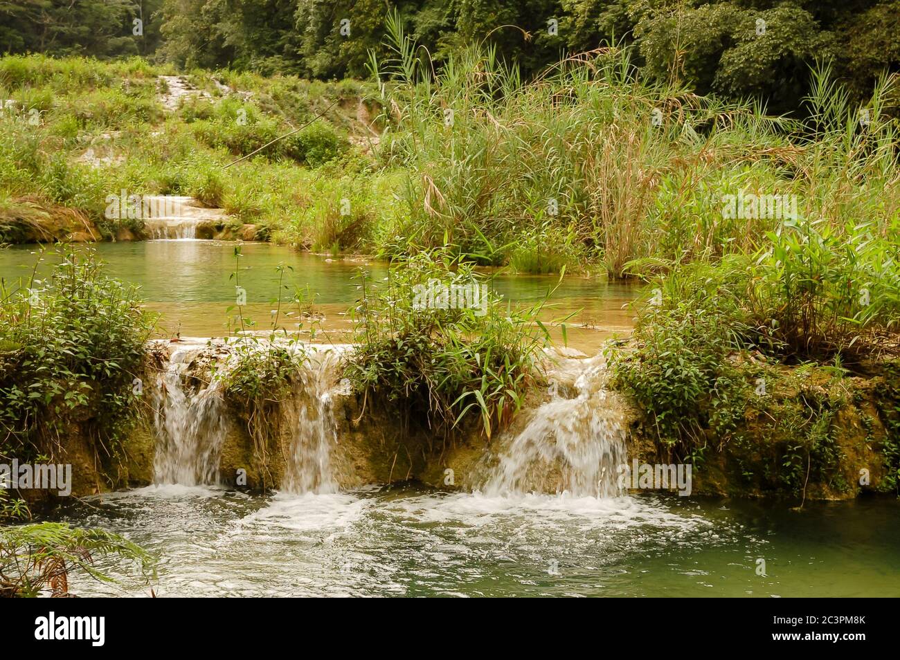 Landscape in Semuc Champey, Lanquin, Guatemala, Central America Stock ...