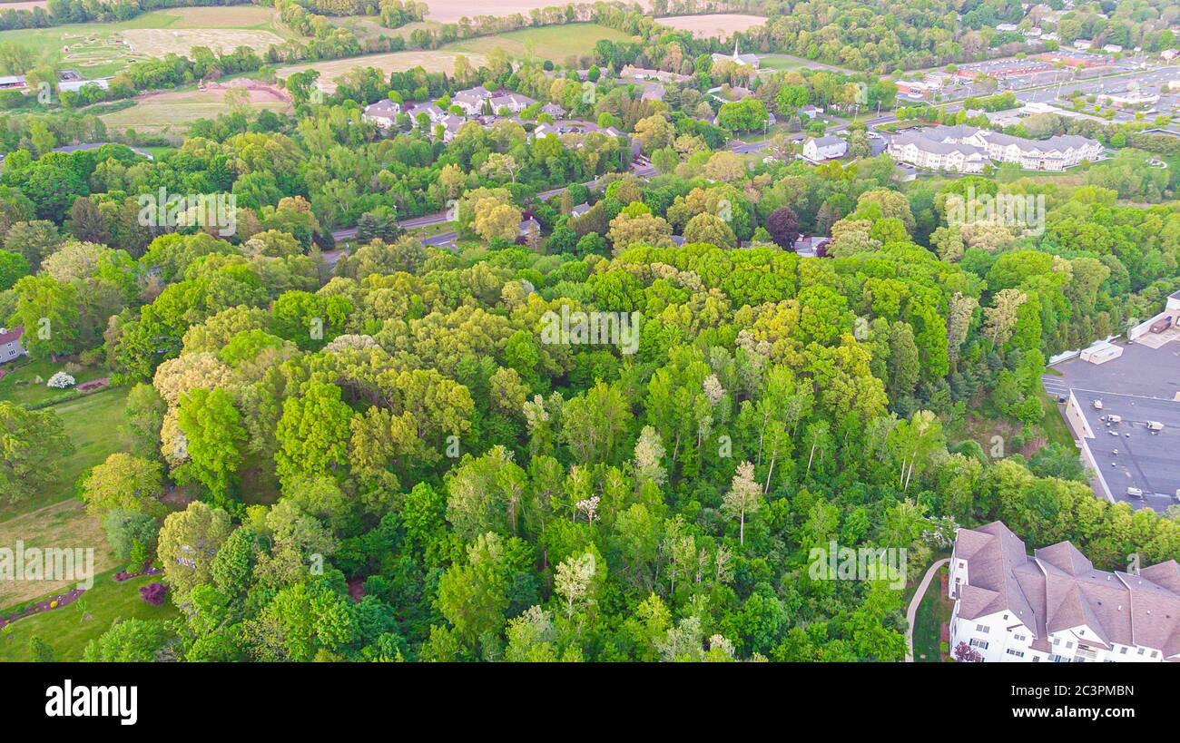 Aerial view of Lush Green Trees of Manchester Connecticut Stock Photo ...