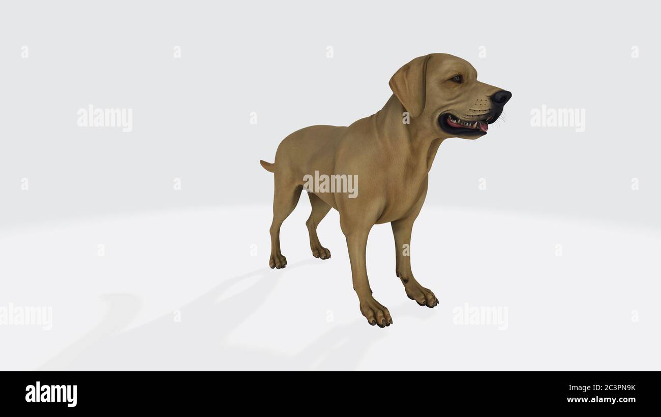 Illustration of a 3D rendering of a dog on a white background Stock ...