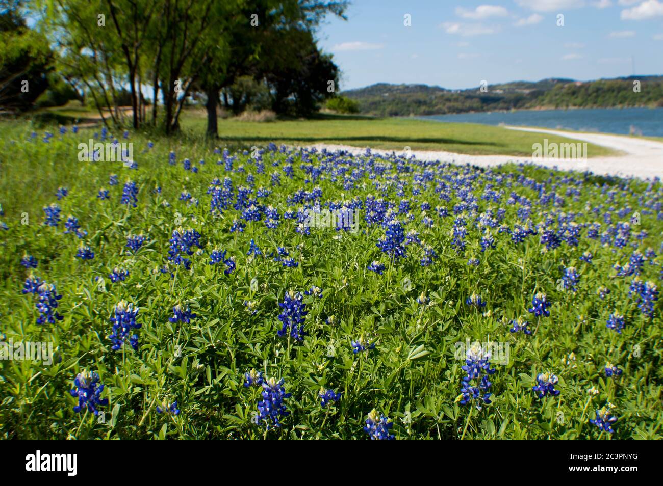Muleshoe bend recreation area hi-res stock photography and images - Alamy