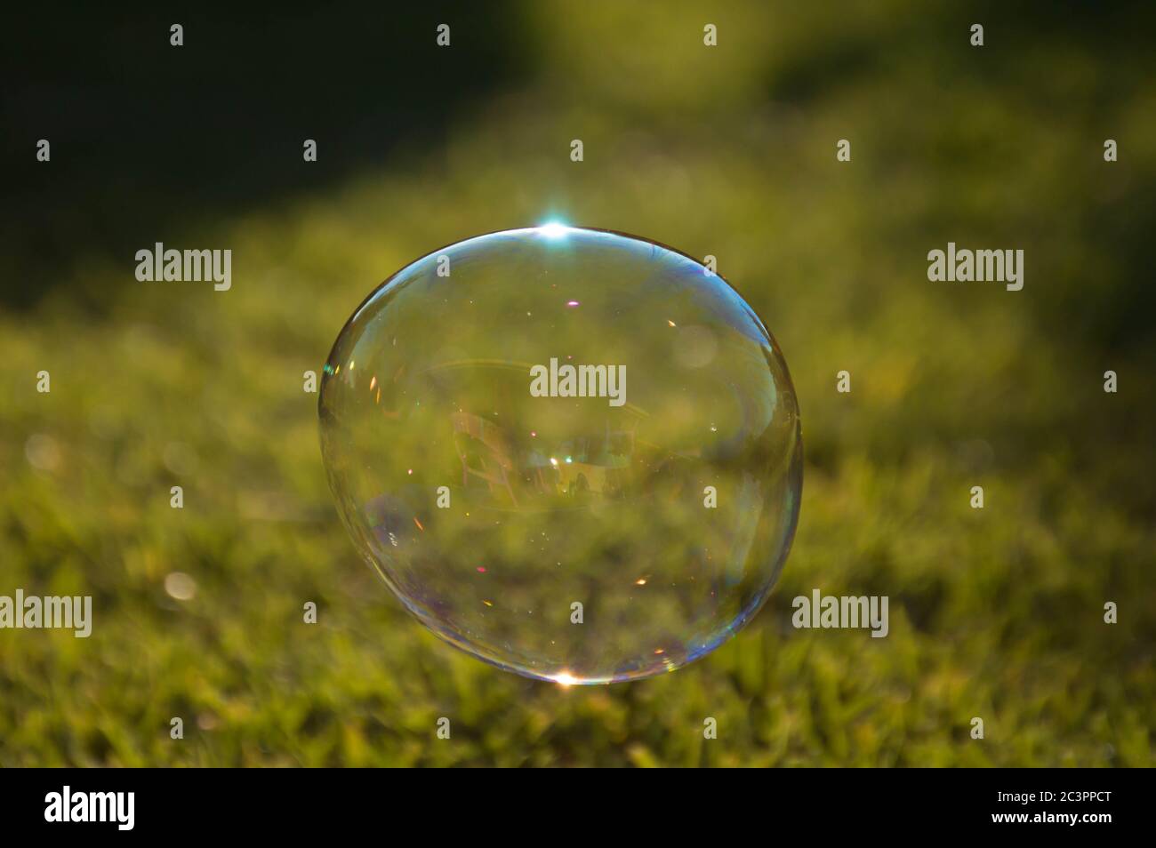 backyard bubble blowing Stock Photo - Alamy