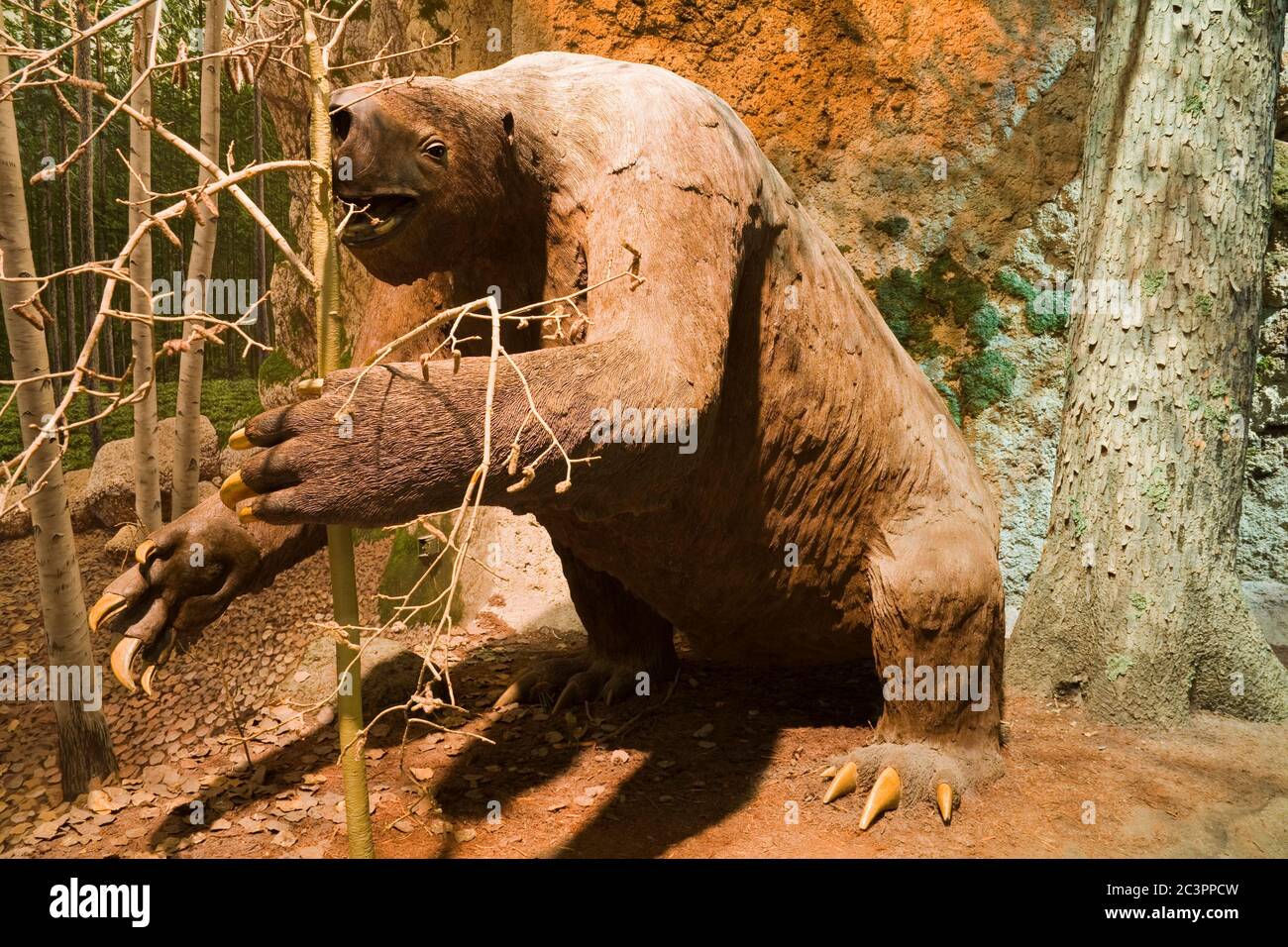 Ground Sloth
