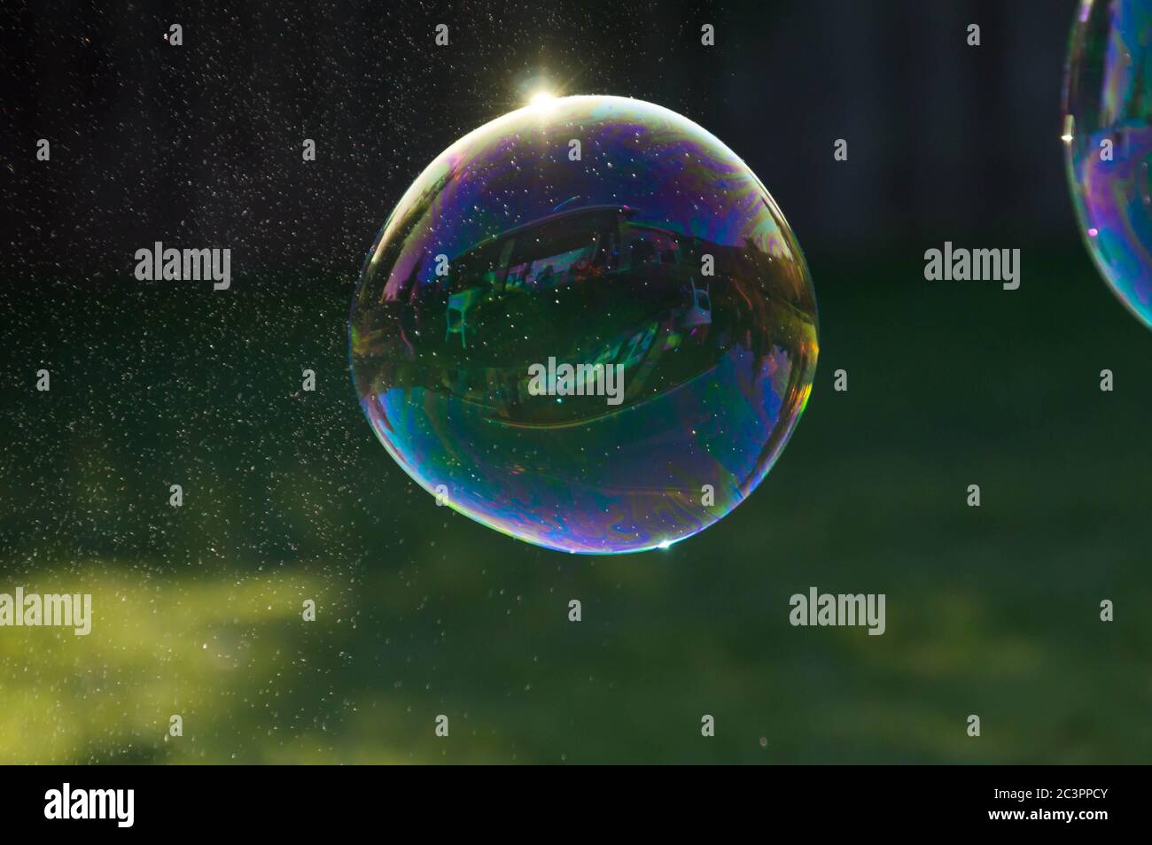 backyard bubble blowing Stock Photo - Alamy