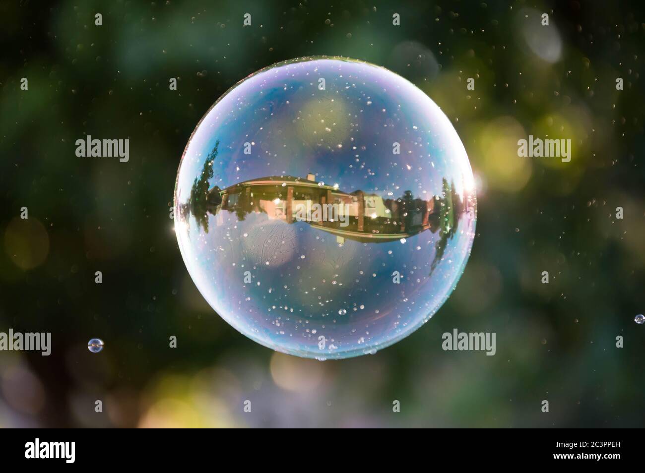 backyard bubble blowing Stock Photo - Alamy