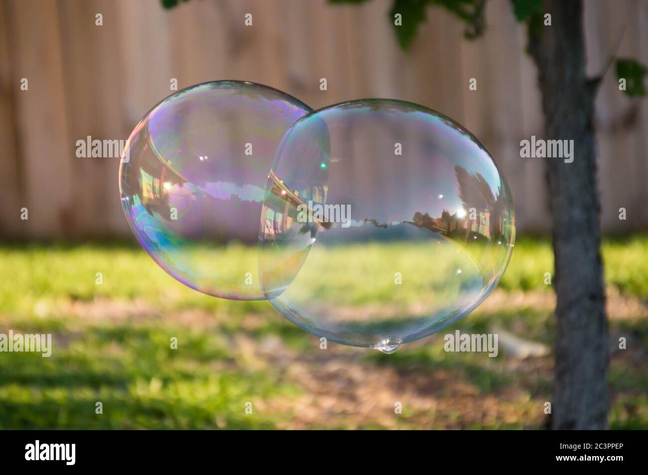 Colorful bubble large hi-res stock photography and images - Alamy