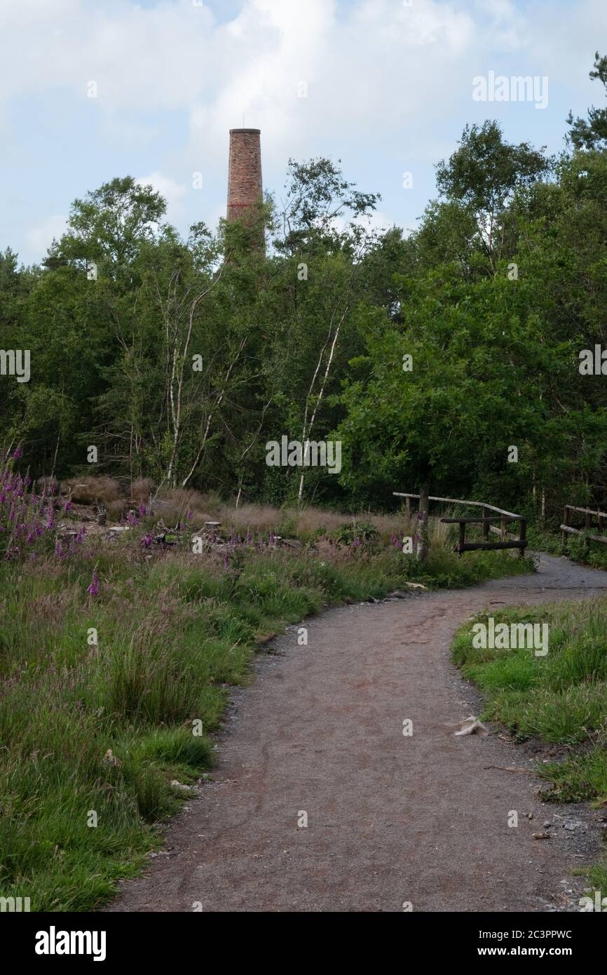 Smitham Chimney, East Harptree Woods, Somerset, UK Stock Photo - Alamy