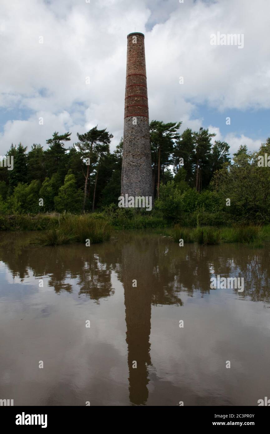 Harptree hi-res stock photography and images - Alamy