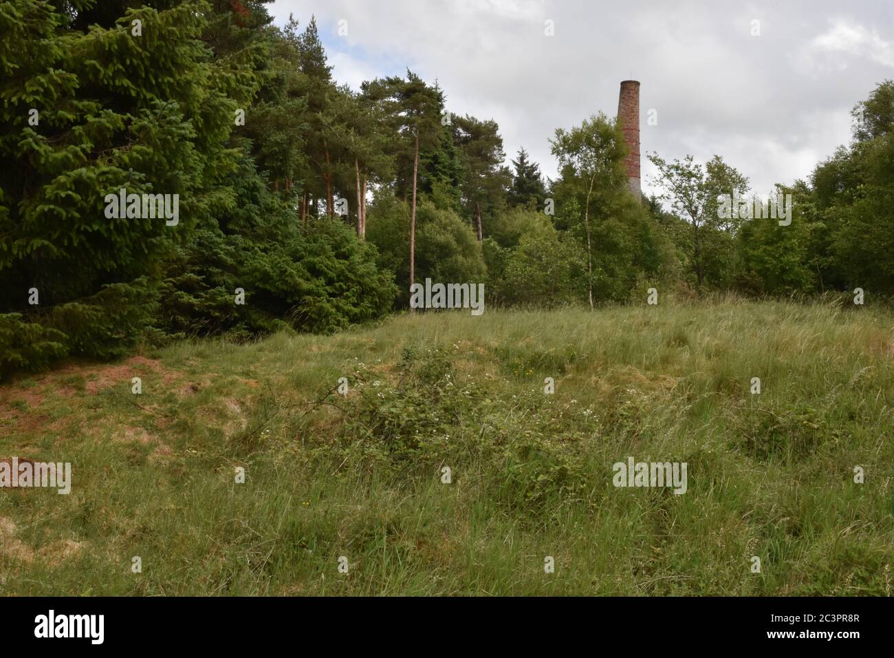 Smitham Chimney, East Harptree Woods, Somerset, UK Stock Photo - Alamy