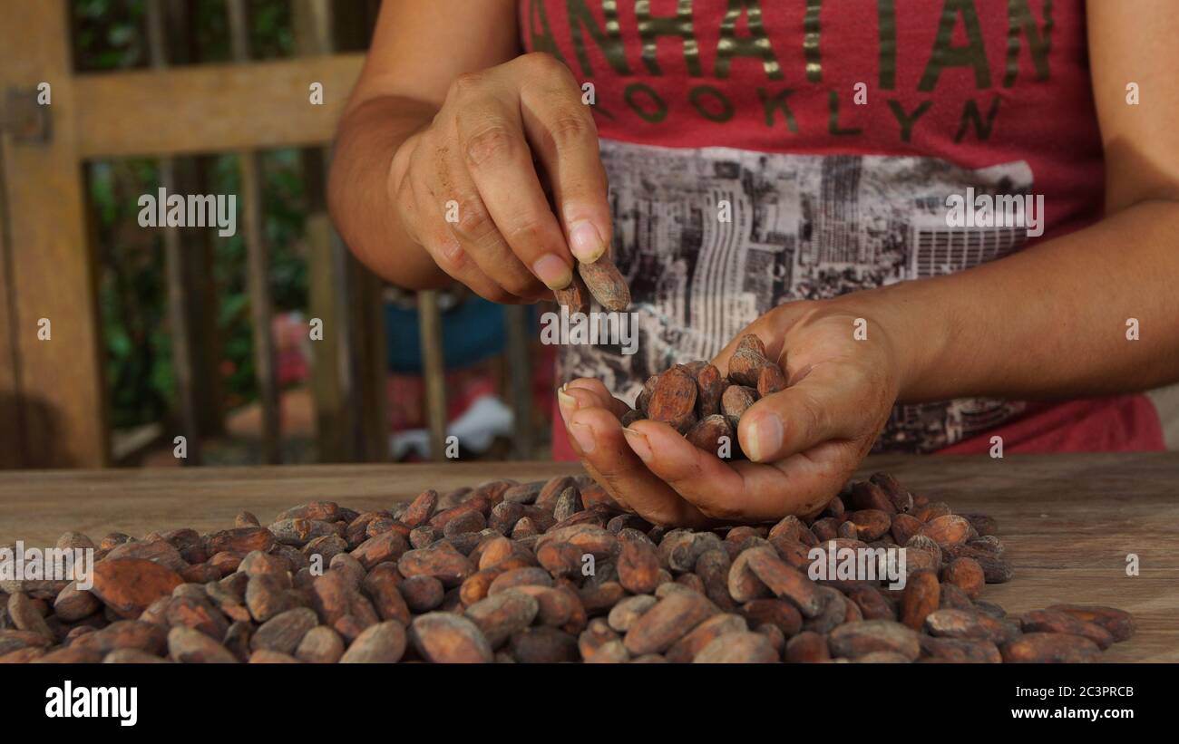 Separating the ingredient hi-res stock photography and images - Alamy