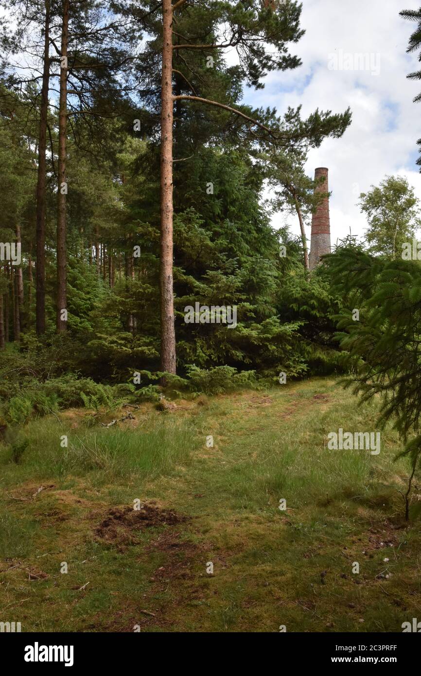 Smitham Chimney, East Harptree Woods, Somerset, UK Stock Photo - Alamy