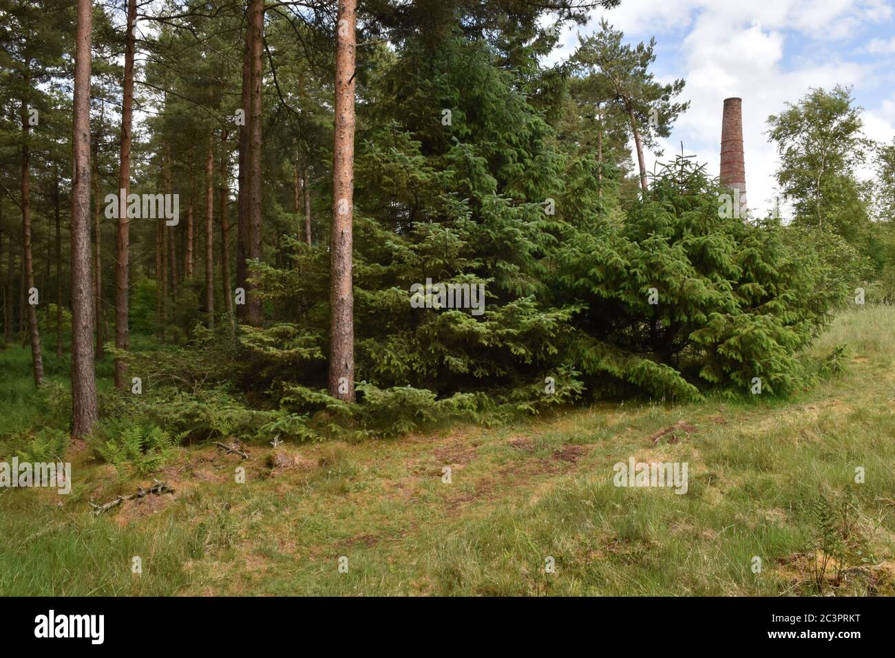Smitham Chimney, East Harptree Woods, Somerset, UK Stock Photo - Alamy