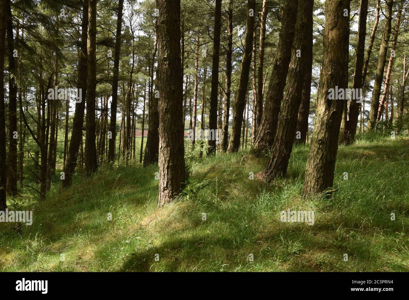 East Harptree High Resolution Stock Photography and Images - Alamy