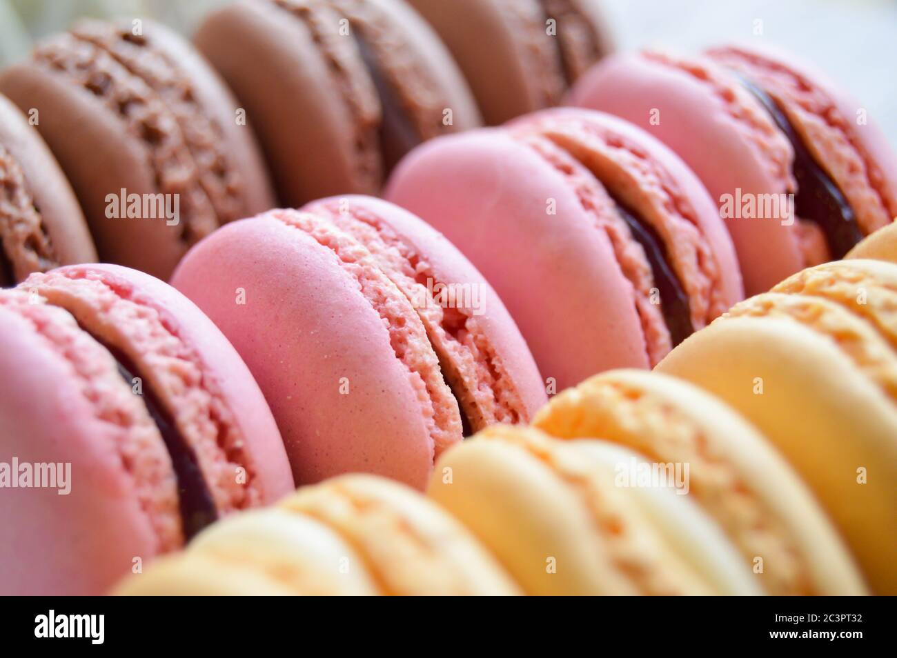 rows of pastel french macarons Stock Photo - Alamy