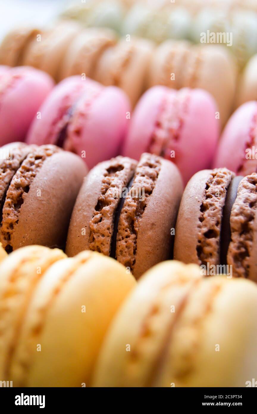 rows of pastel french macarons Stock Photo - Alamy