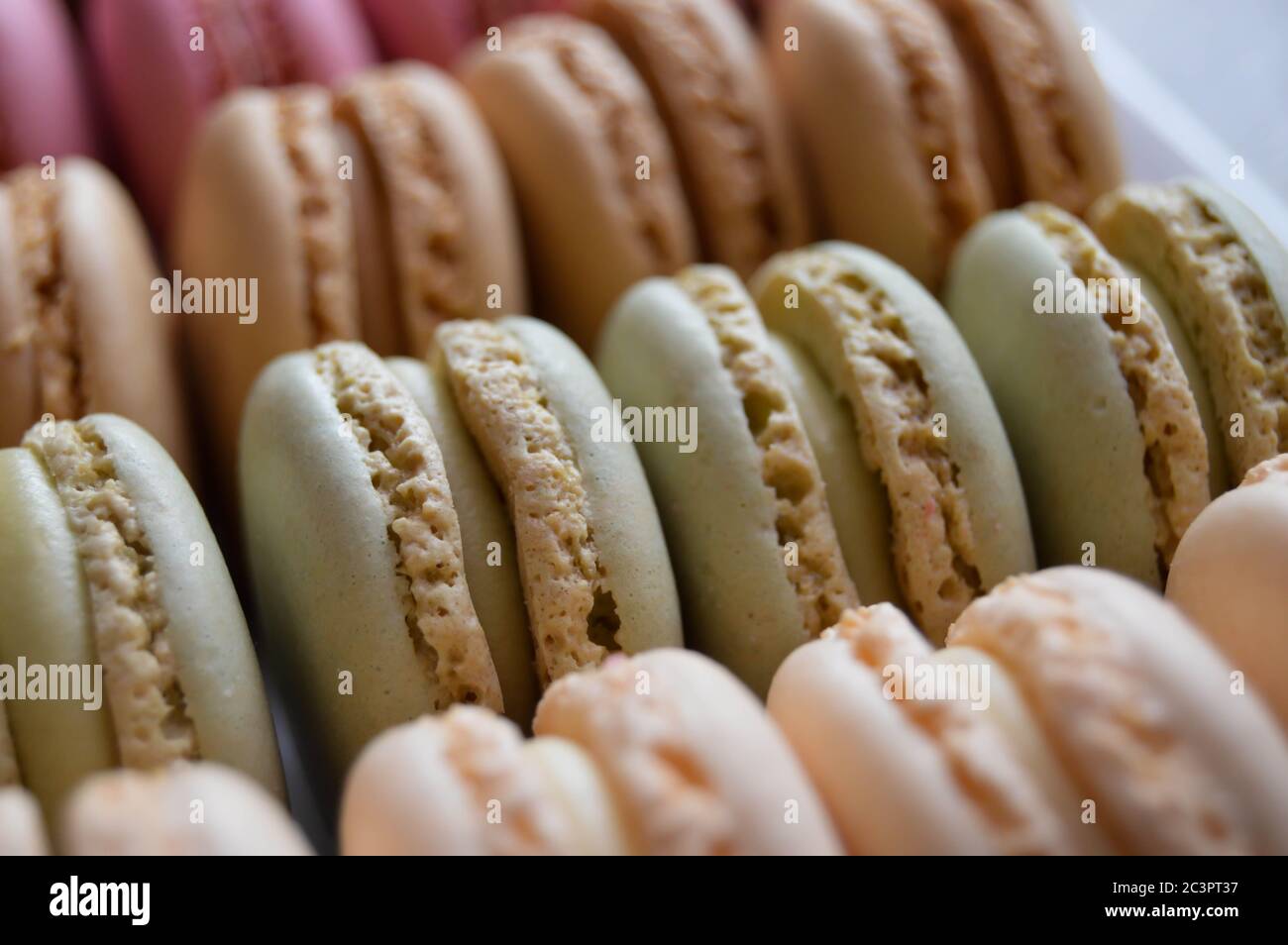 rows of pastel french macarons Stock Photo - Alamy