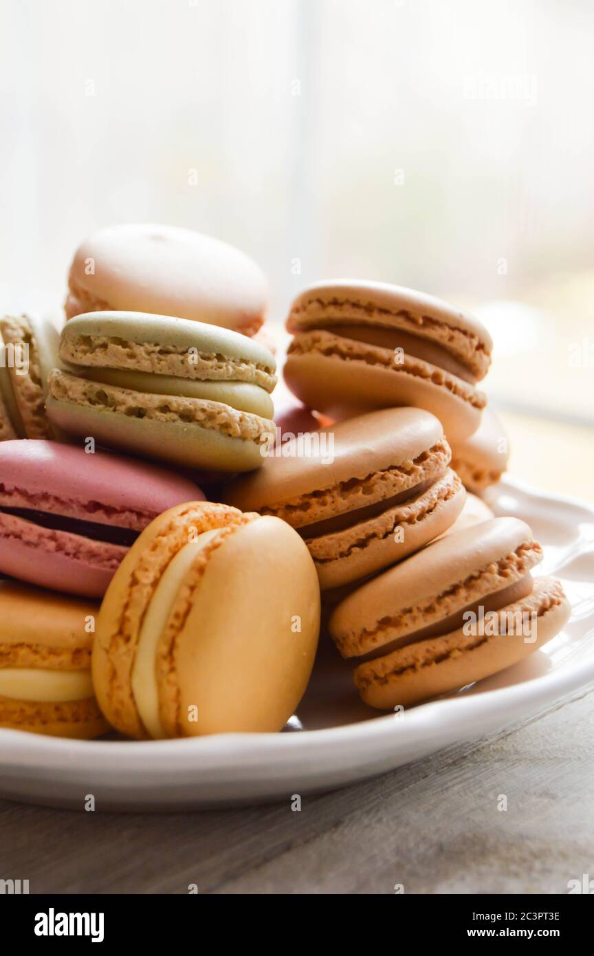 Pastel color plate hi-res stock photography and images - Alamy