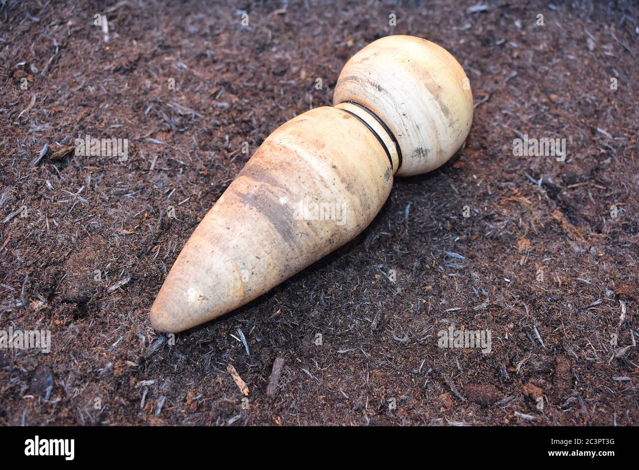 Seeds dibber hi-res stock photography and images - Alamy