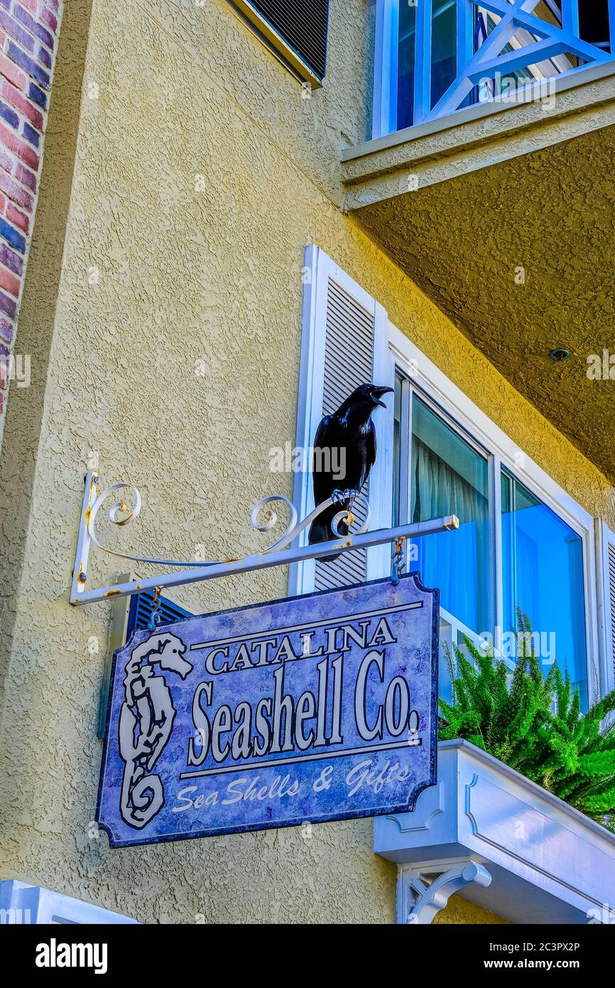 Beach seashells sign hi-res stock photography and images - Alamy