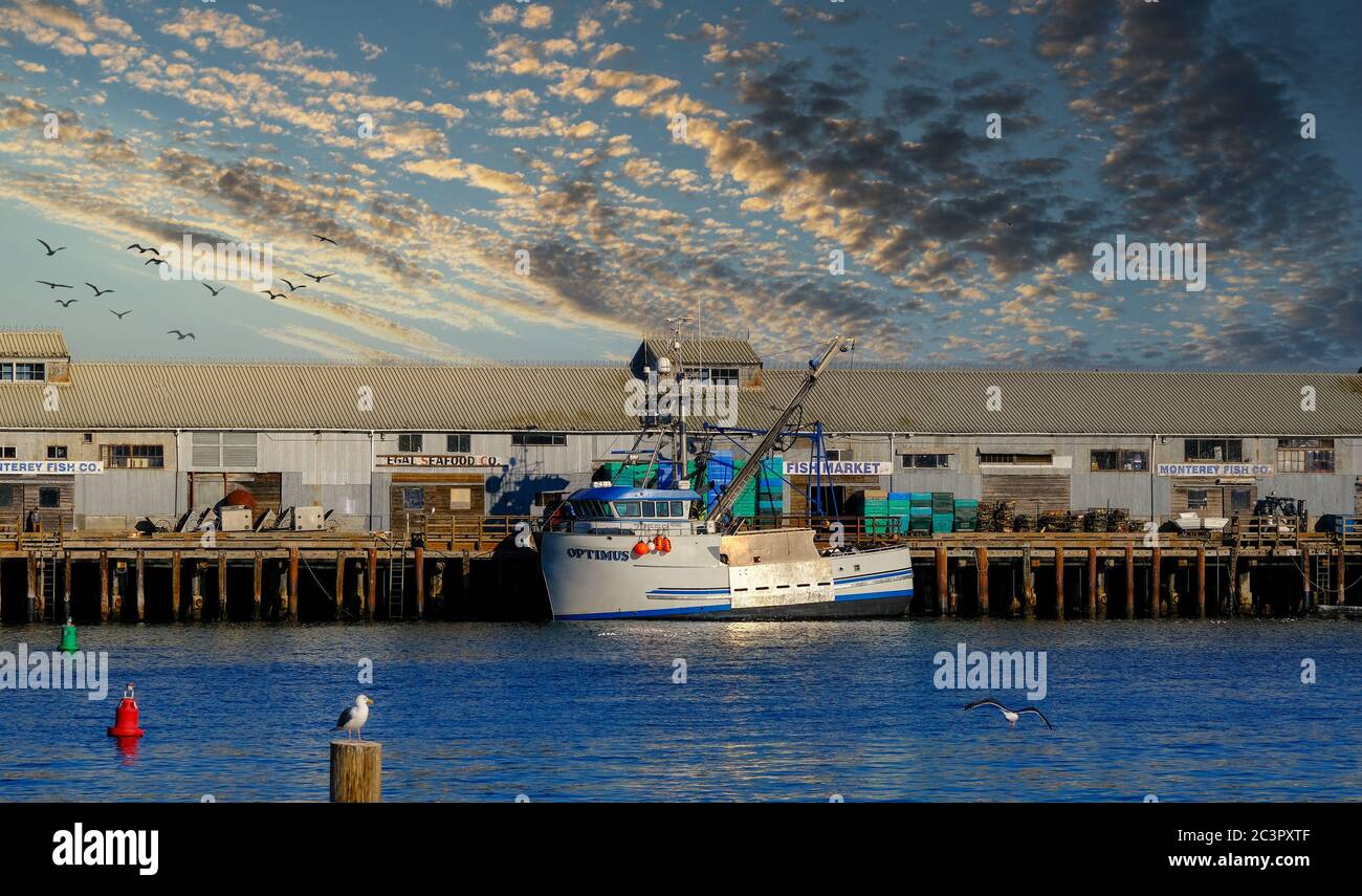 Fishing Boat Behind Legal Seafood and Fish Market Stock Photo - Alamy