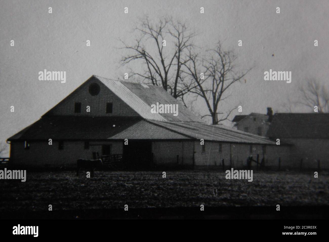 Fine 70s vintage black and white extreme photography of a huge farm ...