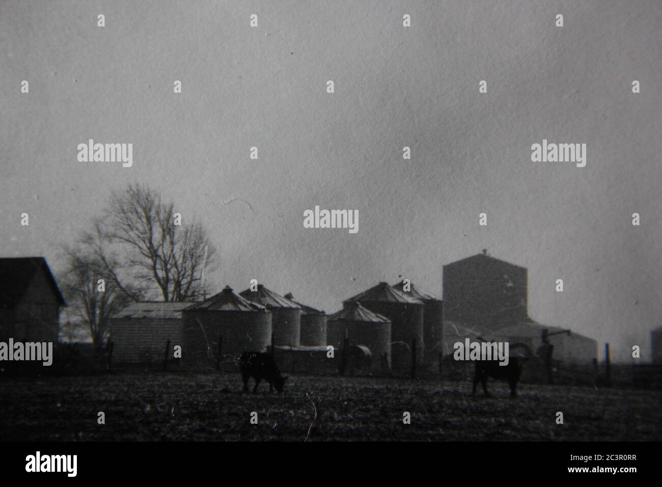 Fine 70s vintage black and white extreme photography of the countryside ...