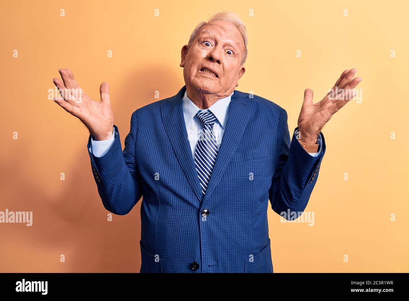 Senior handsome grey-haired businessman wearing elegant suit over ...