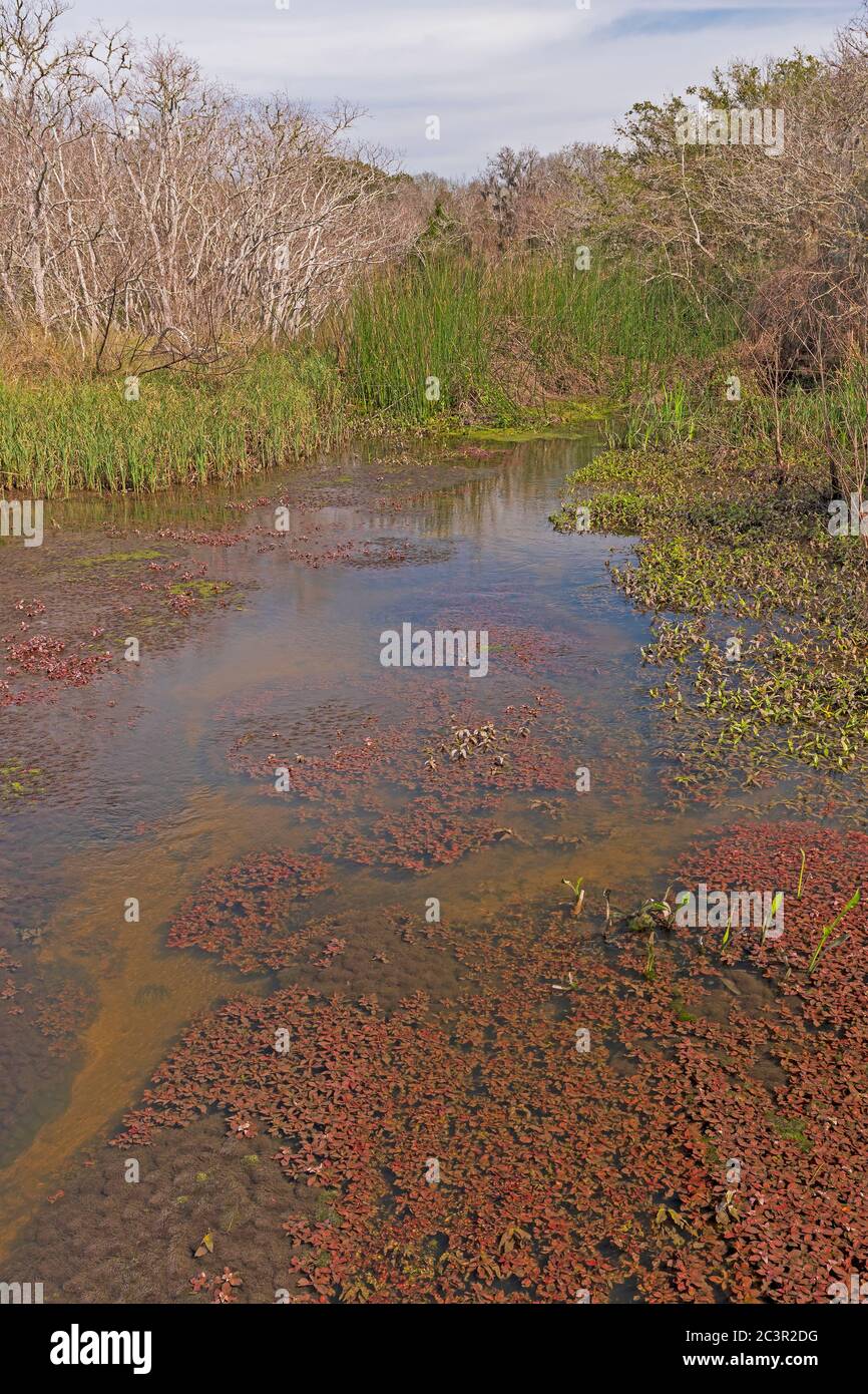 Ecosystem diverse nature hi-res stock photography and images - Alamy