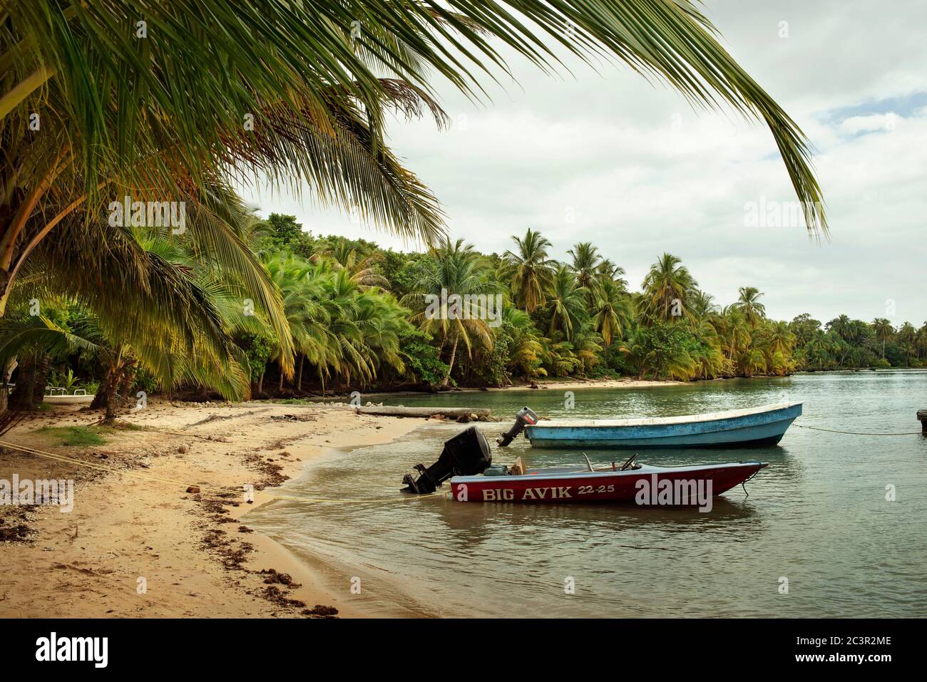 Lush palm forest along sandy beach. Boats parking in Bocas del Toro ...