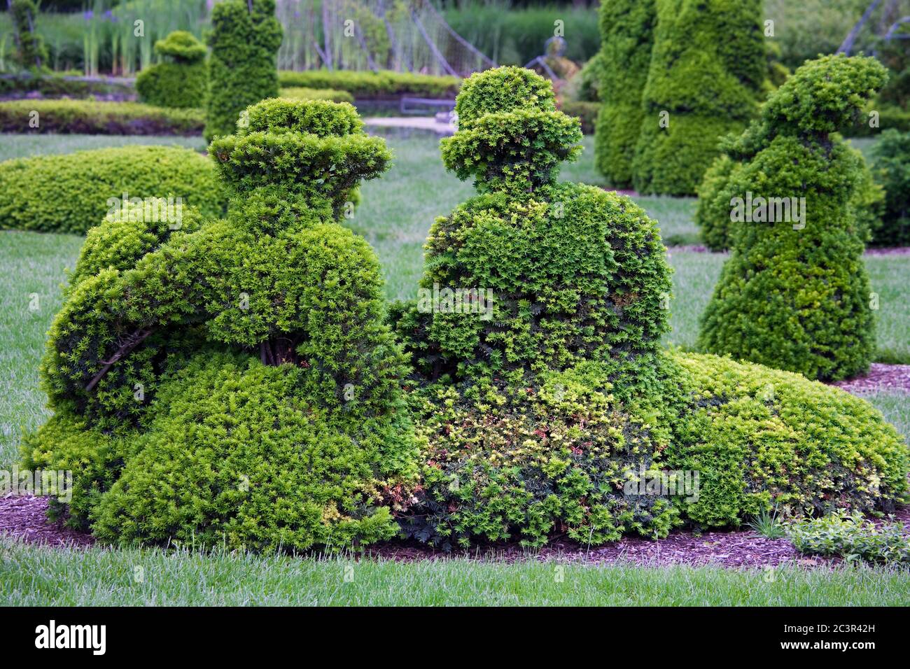 Garden in school park hi-res stock photography and images - Alamy