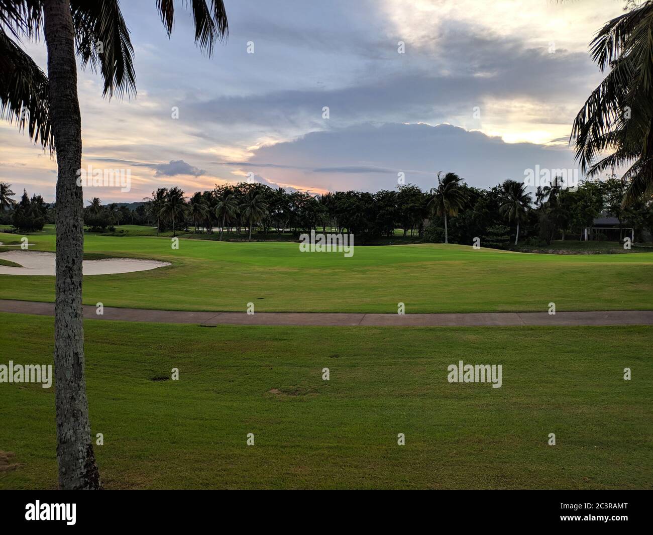 Nightfall tree hi-res stock photography and images - Alamy