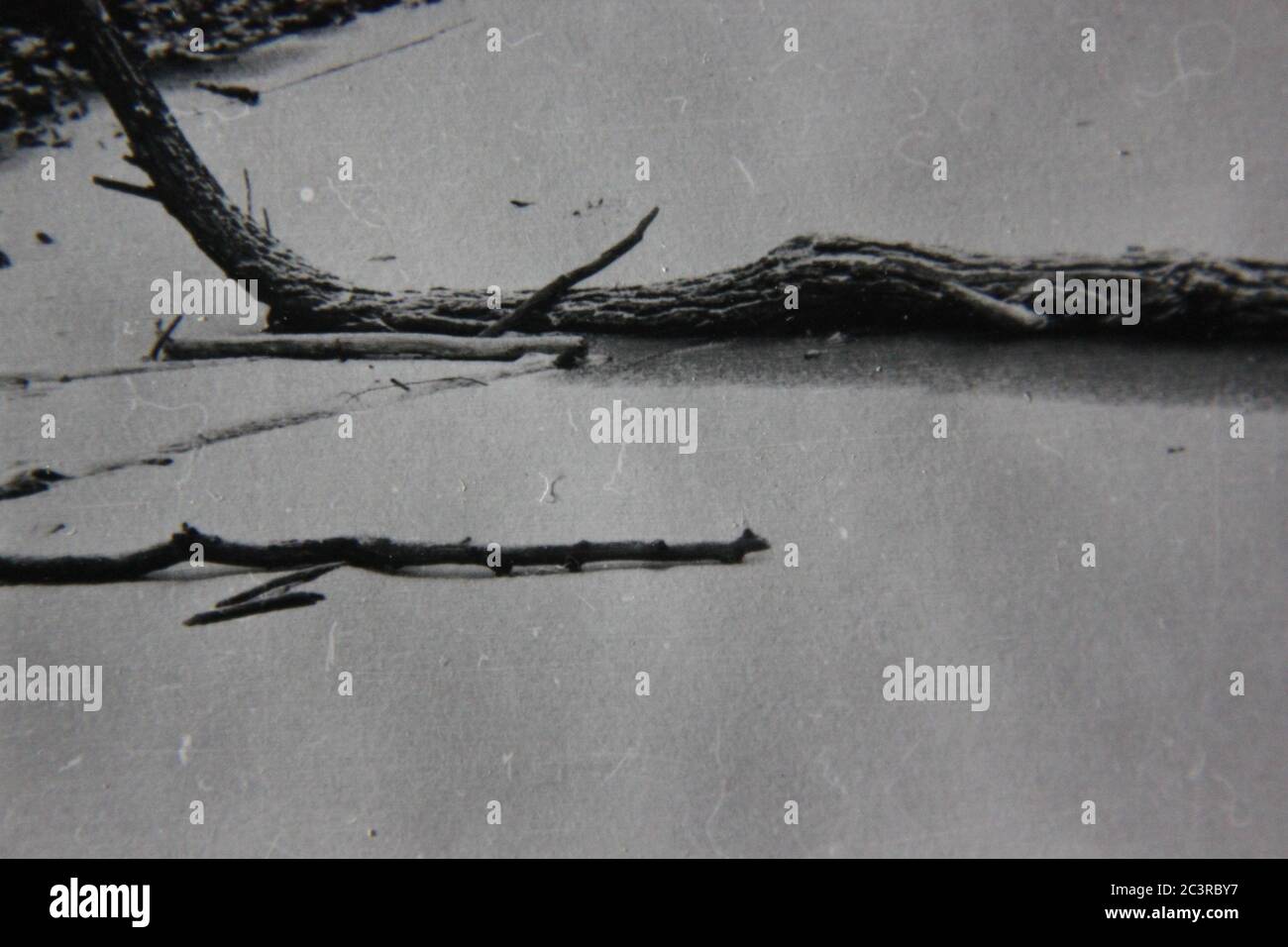 Fine 70s vintage black and white extreme photography of logs stuck in ...