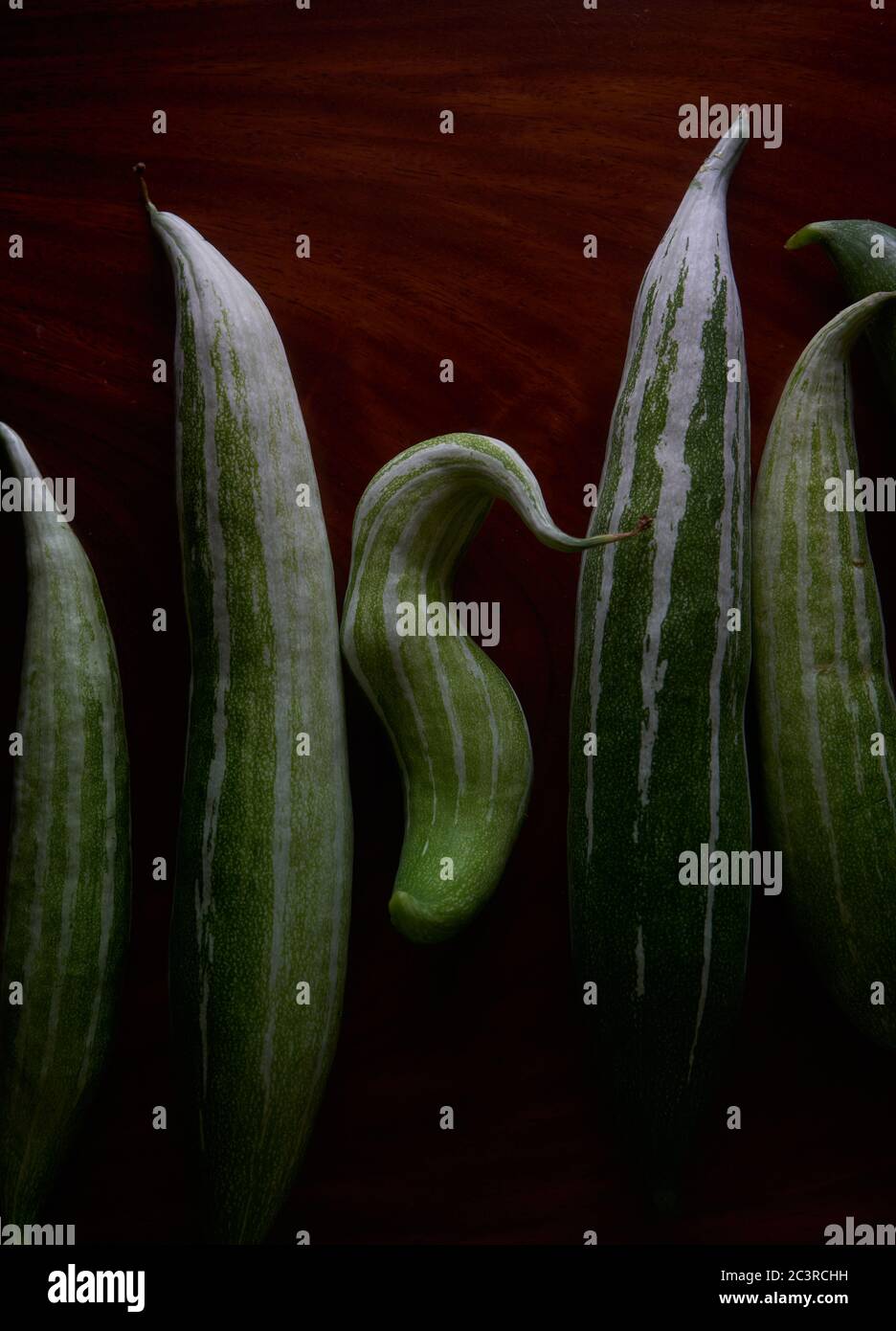 Vegetable snake hi-res stock photography and images - Alamy