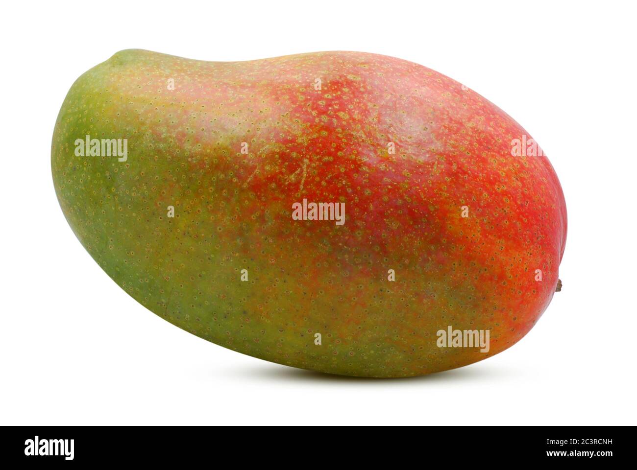 Watercolor kiwi fruit on white Cut Out Stock Images & Pictures - Alamy