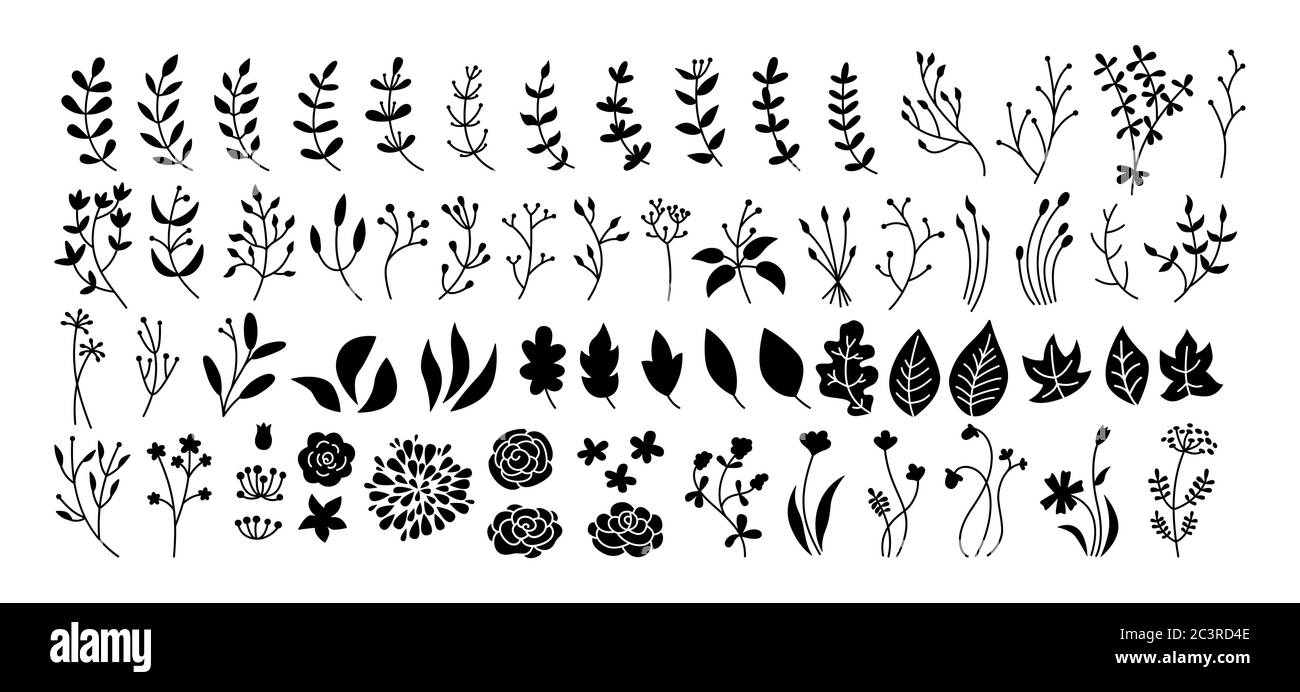 Flower, branch and leaf set, botanical black glyph. Abstract silhouette ...