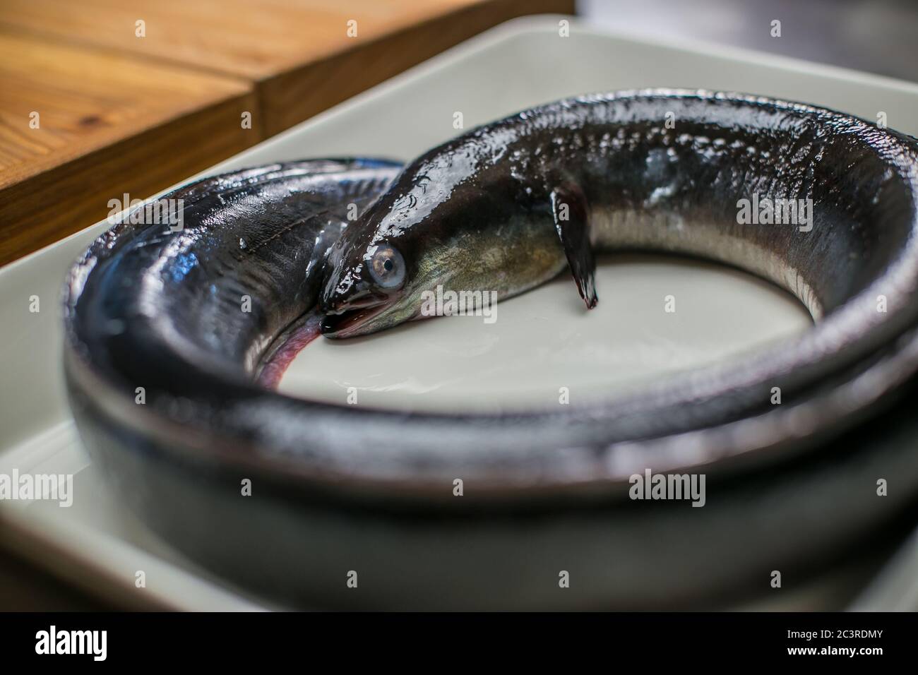 Preparation cooking raw eel hi-res stock photography and images - Alamy