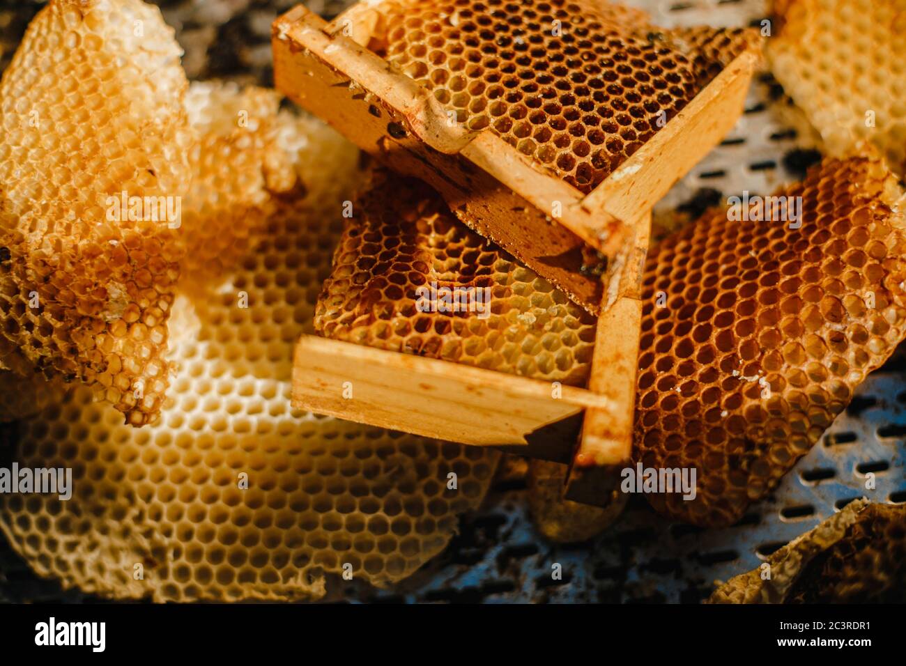 Closeup shot of many freshly made honeycombs Stock Photo - Alamy