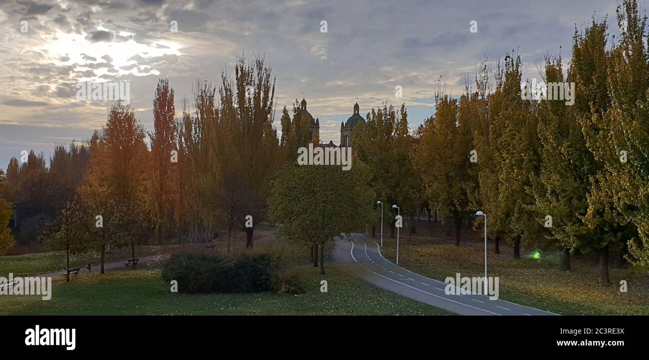 Beautiful scenery of a tree-lined road during sunset Stock Photo - Alamy