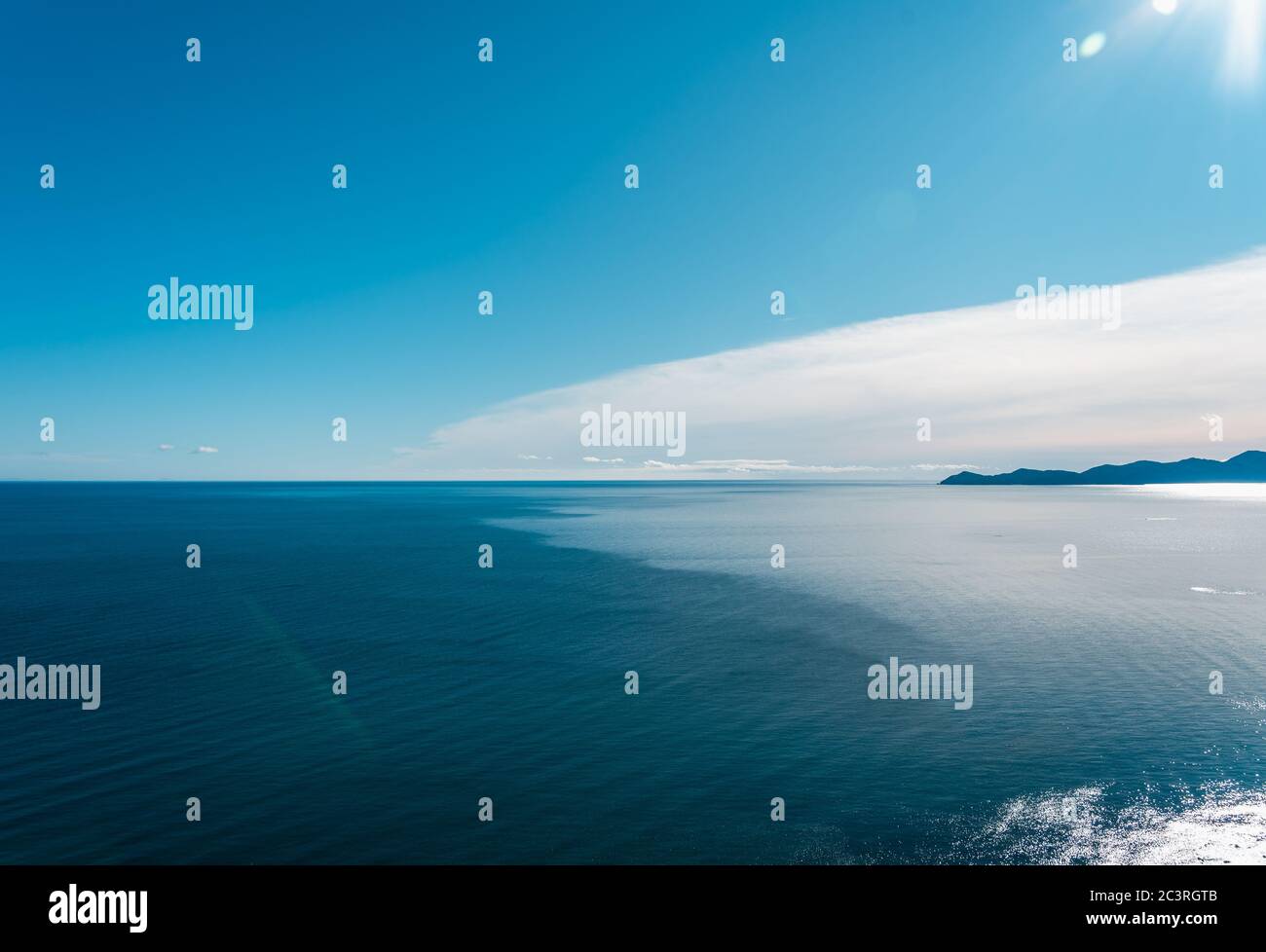 New Zealand Wellington Landscape; nature background Stock Photo - Alamy