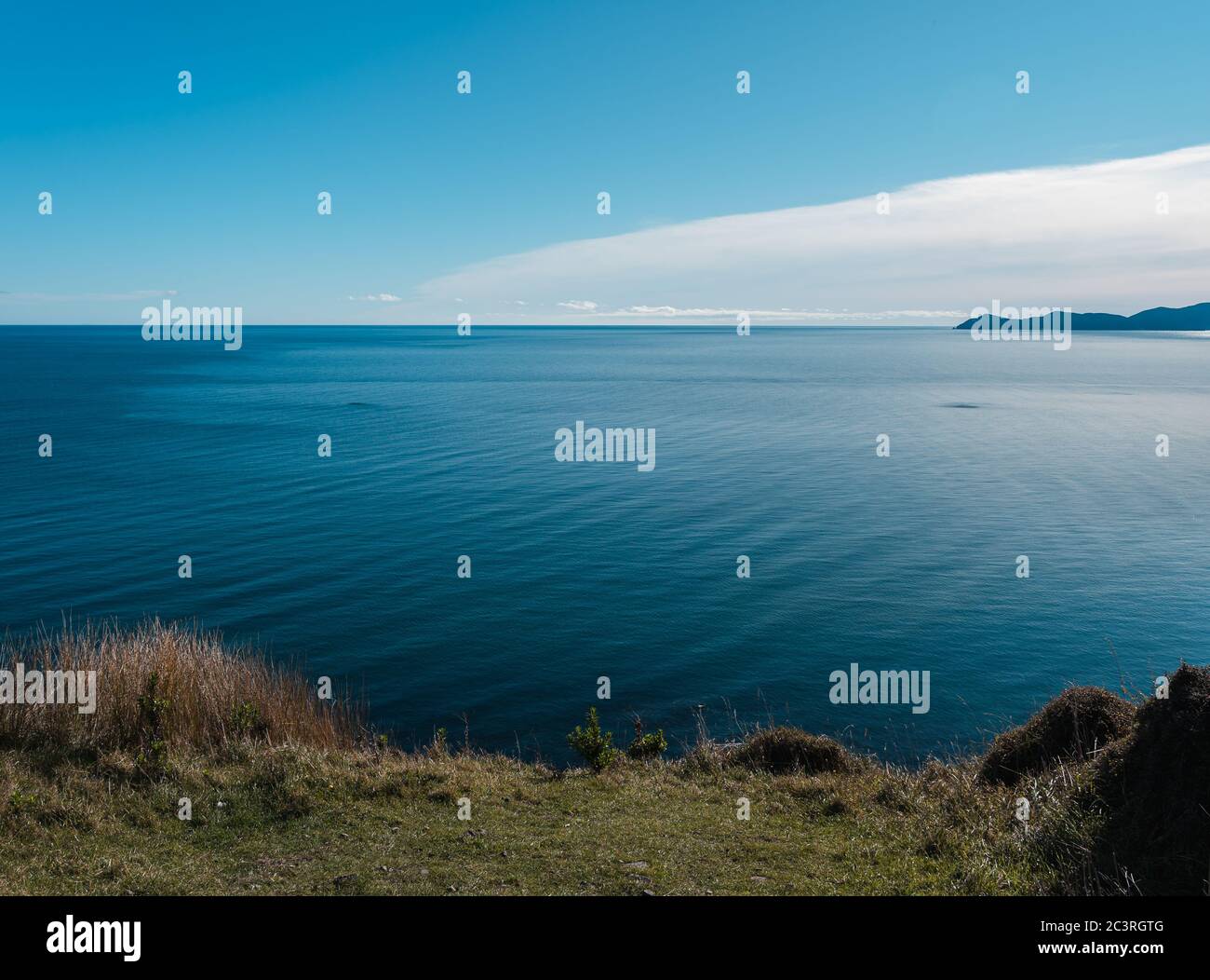 New Zealand Wellington Landscape; nature background Stock Photo - Alamy