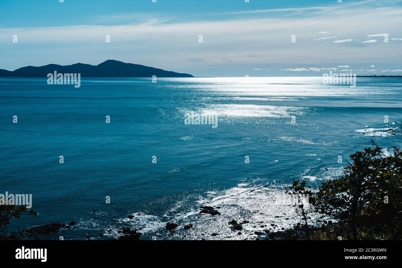 New Zealand Wellington Landscape; nature background Stock Photo - Alamy