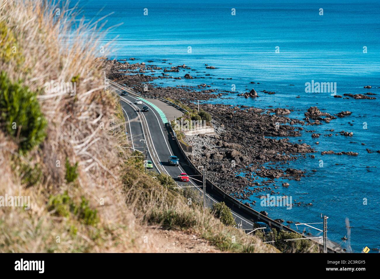 New Zealand Wellington Landscape; nature background Stock Photo - Alamy
