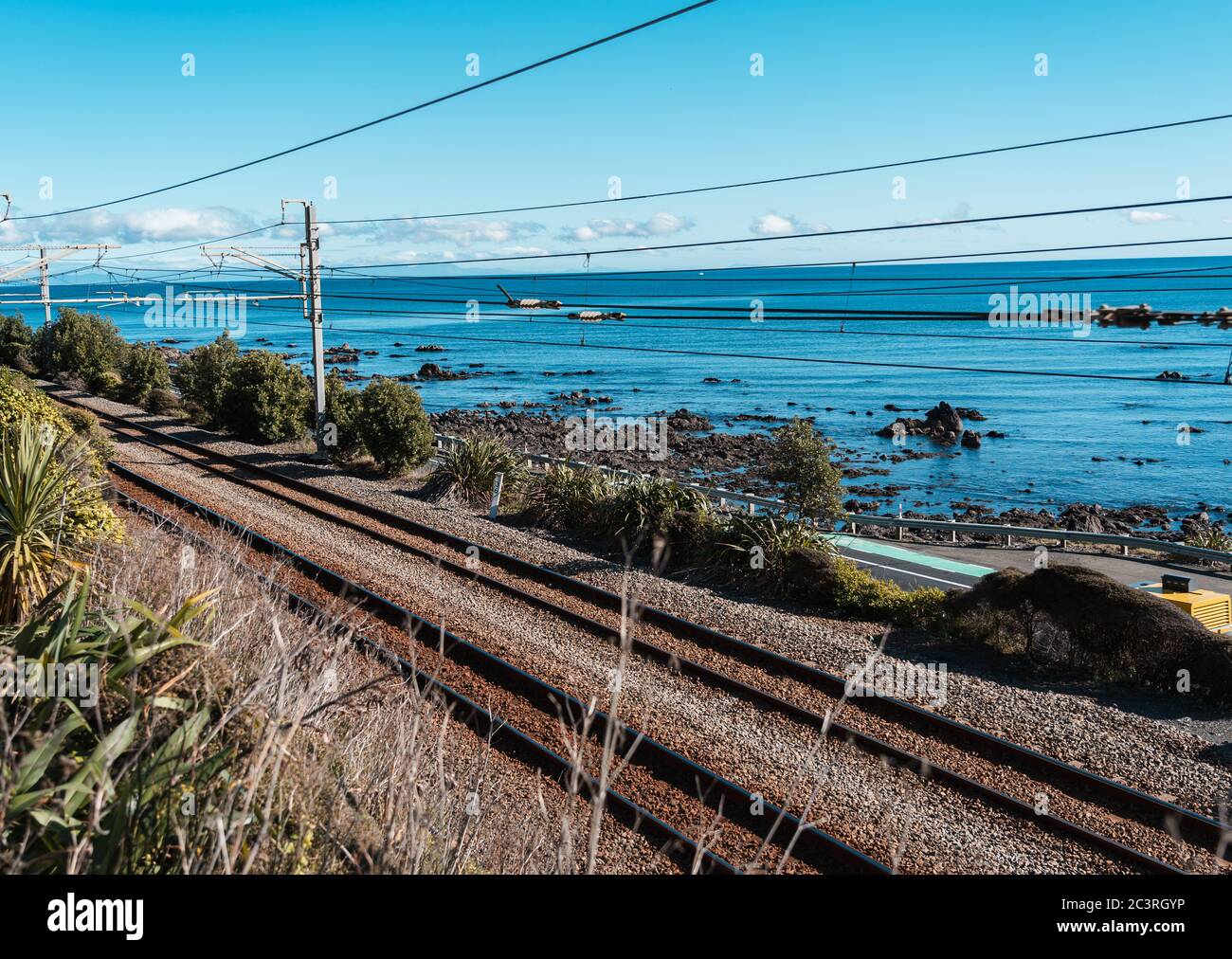 New Zealand Wellington Landscape; nature background Stock Photo - Alamy