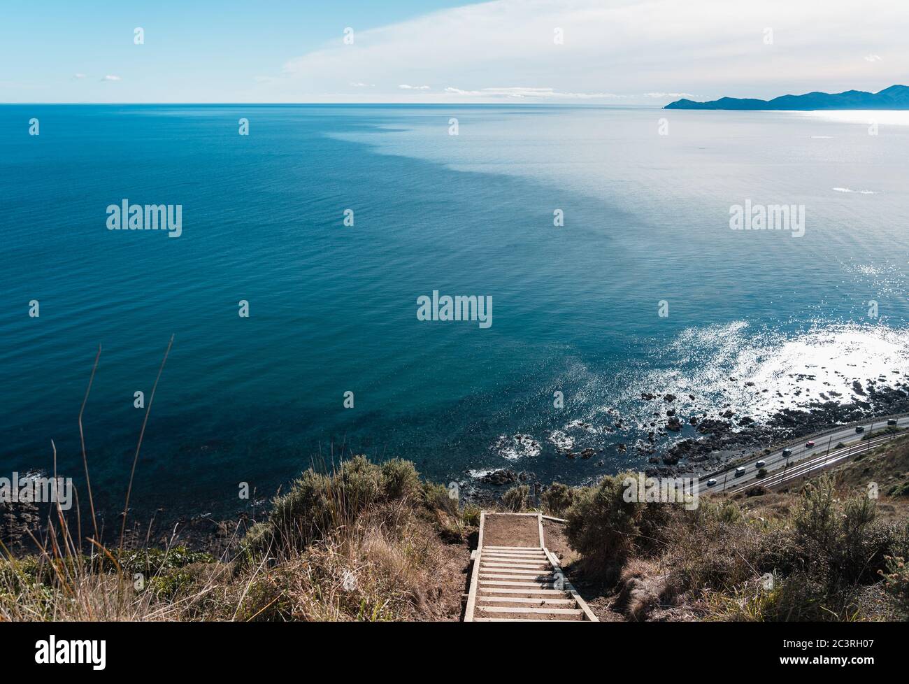 New Zealand Wellington Landscape; nature background Stock Photo - Alamy